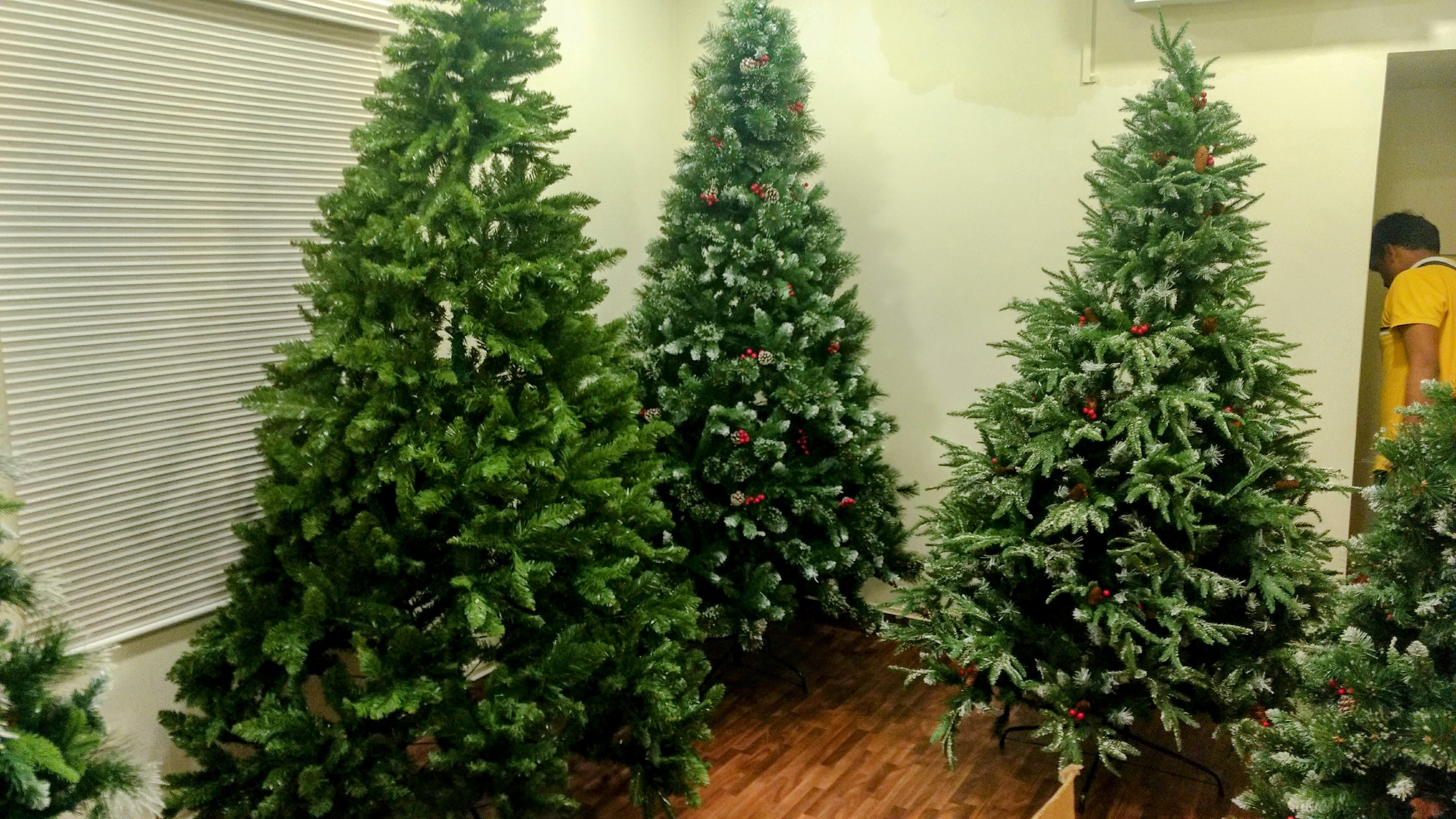 Where to Buy the Best Imported Premium Christmas Trees Online in India ...